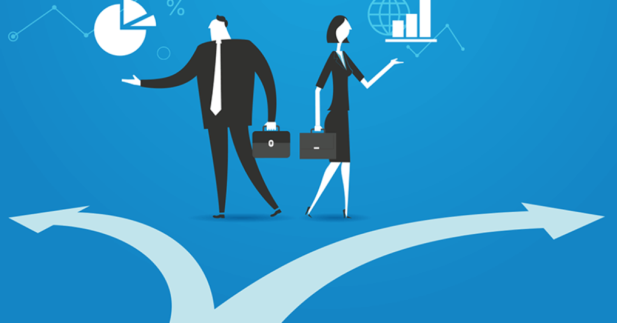 decision support systems ltd